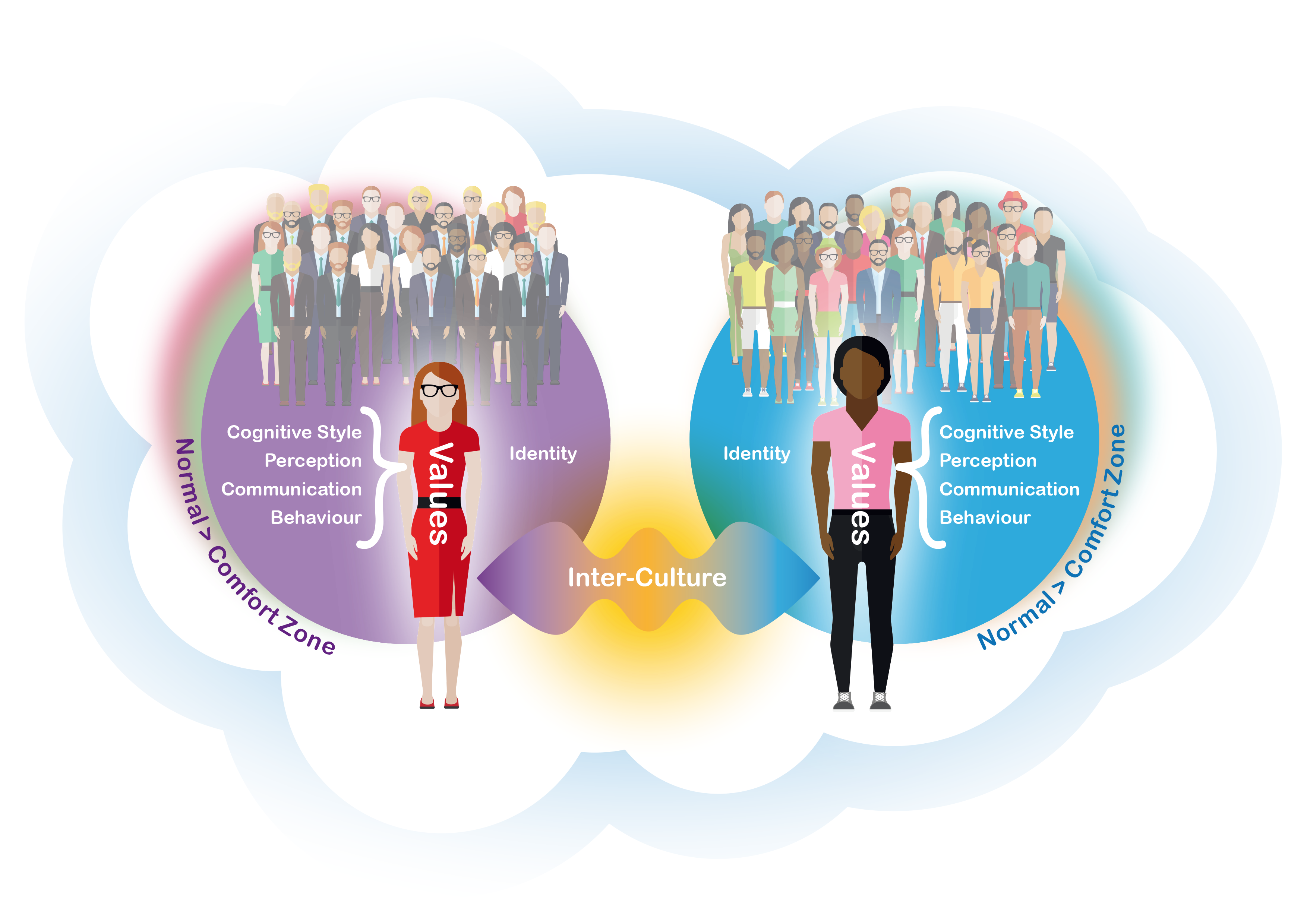 Human Model of Culture Infographic